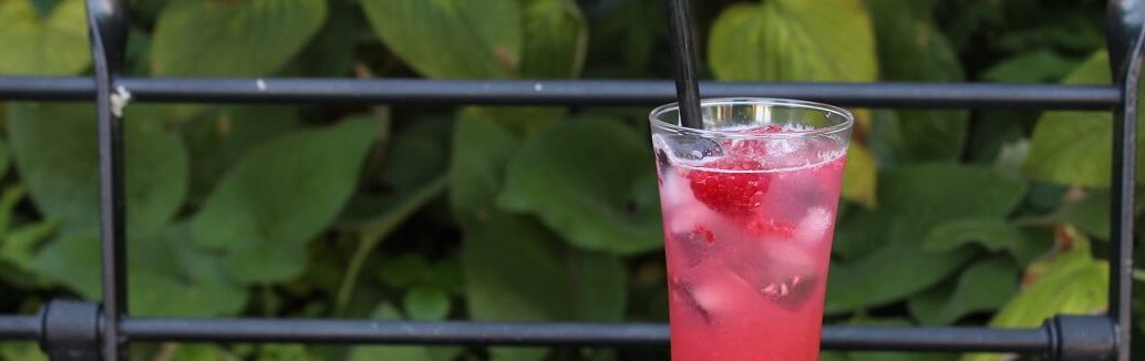 Raspberry Thyme Smash - Veganer Gin mit frischen Himbeeren